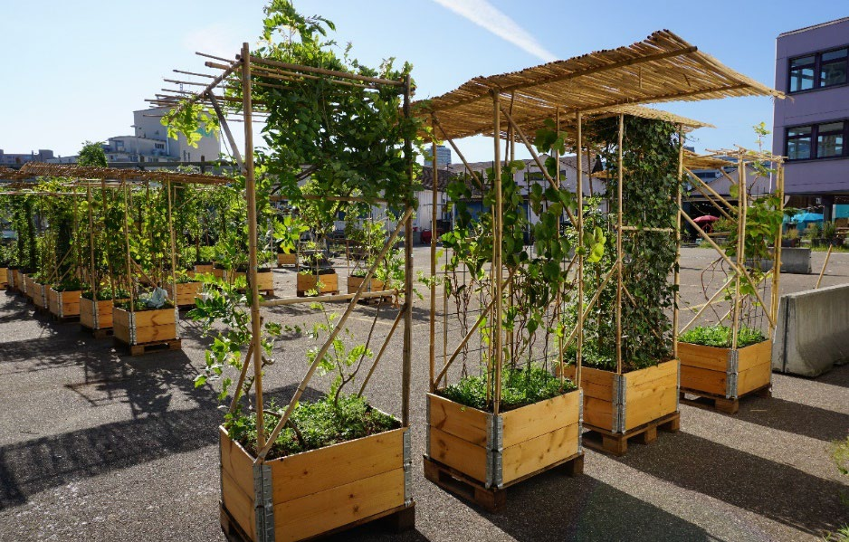 Start - Basel wächst